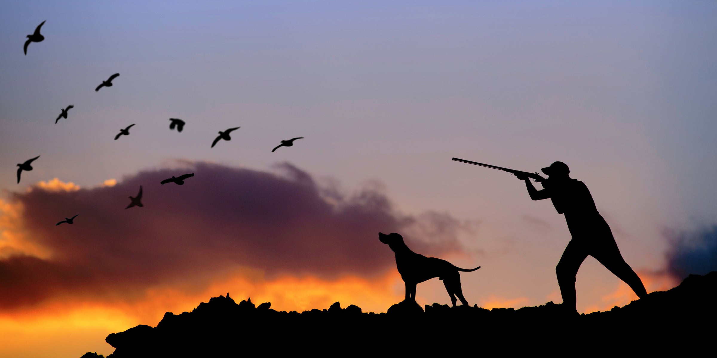 Southern Wild - Fishing, Hunting and Outdoor Supplies